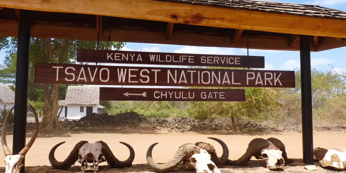 Tsavo national park - Wheel of Fun Tours and Travel